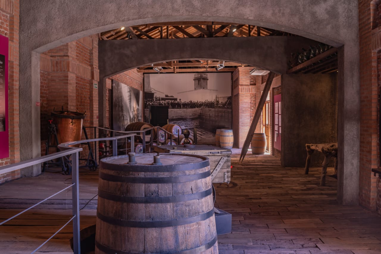 El Museo Graffigna reabre sus puertas – Copadas con San Juan